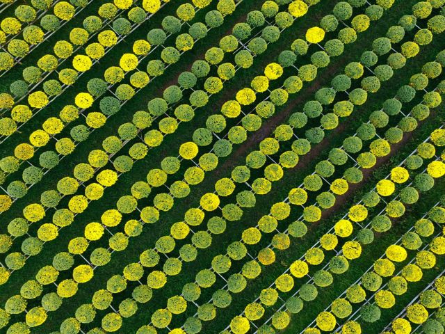 What Experience Says About Sustainability | SAP Insights | Research What Experience Says About Sustainability | SAP Insights | Research