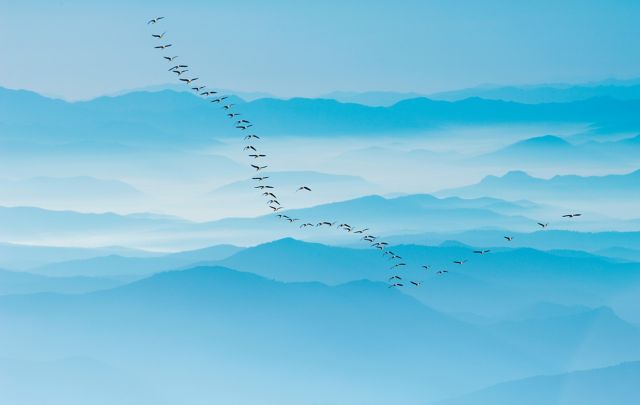 SAP Sustainability | Zero Emissions, Zero Waste & Zero Inequality