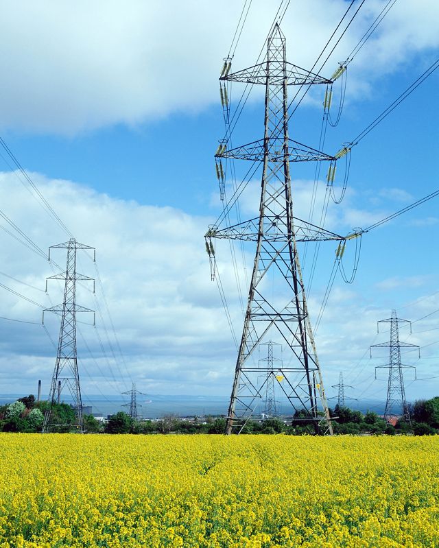 Southwire: Creating a digital-first, world-class online experience ...