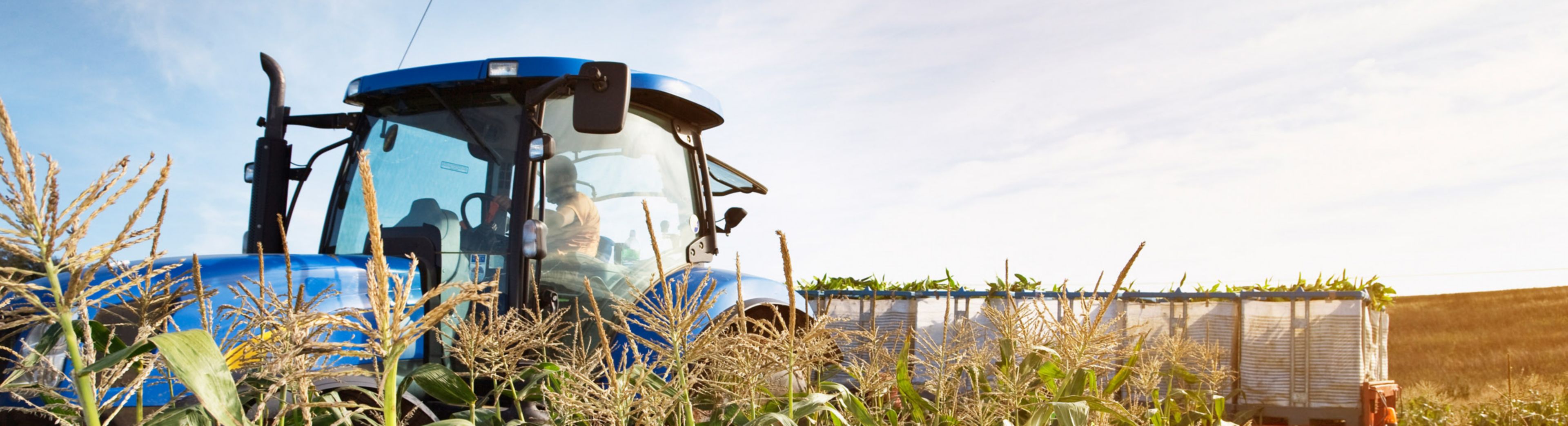 SAP and AGCO Success Story | Customer Reviews and Testimonials