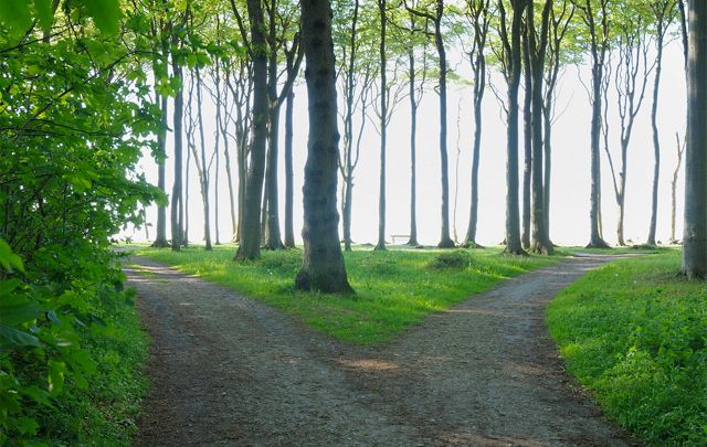 How to Cut Your Losses | Have a Turnaround Plan | SAP Insights