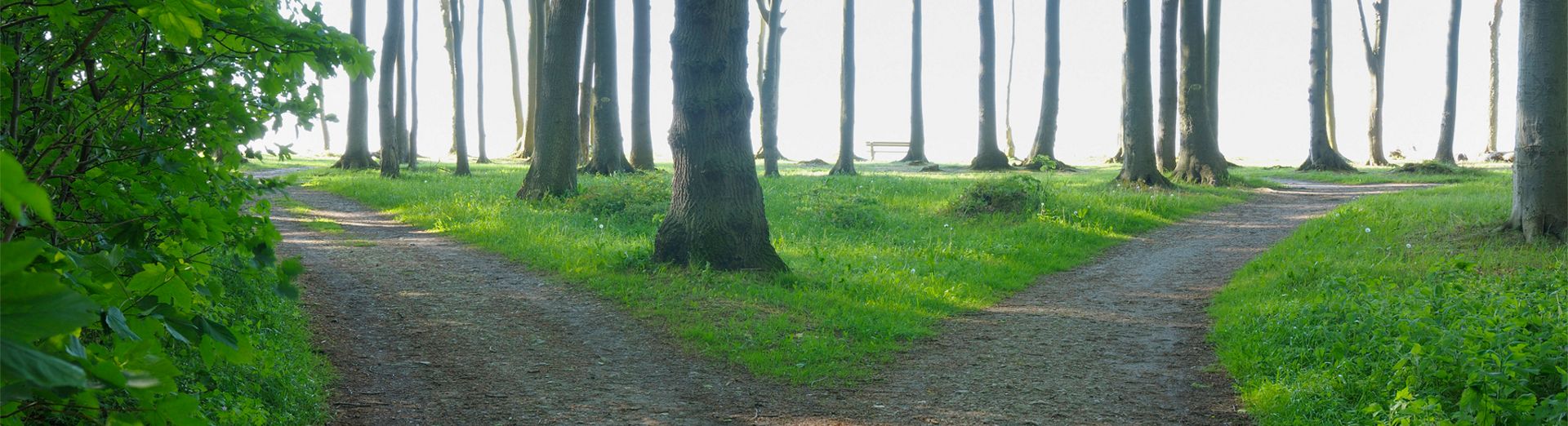 How to Cut Your Losses | Have a Turnaround Plan | SAP Insights