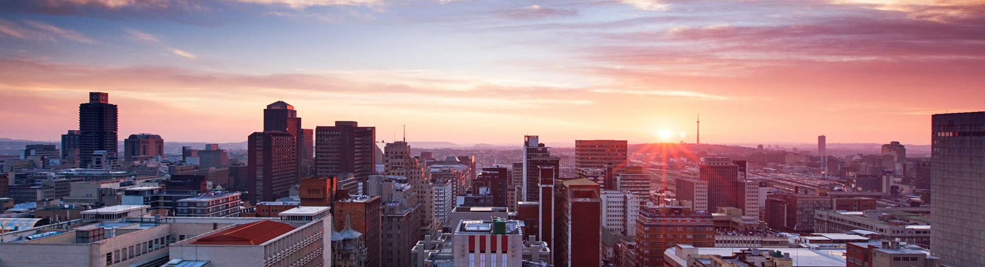 RISE Cloud ERP Business Management System | SAP