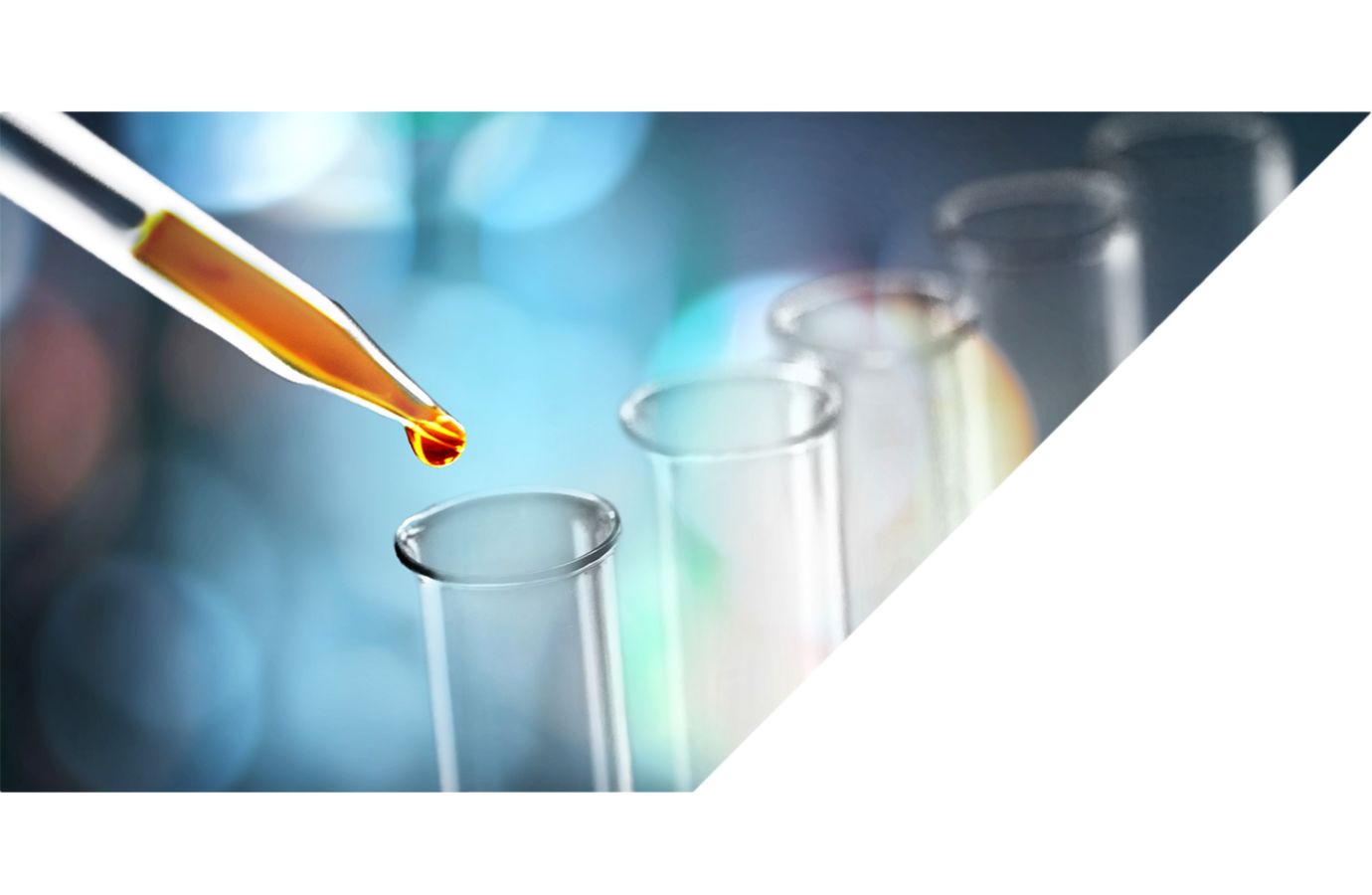 Chemical Industry Software | SAP