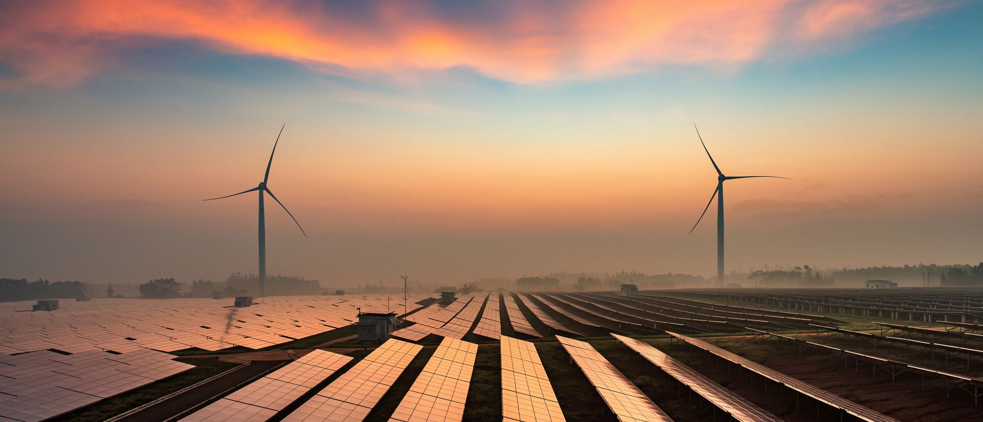 Gasunie: Orchestrating a procurement transformation fit for a ...