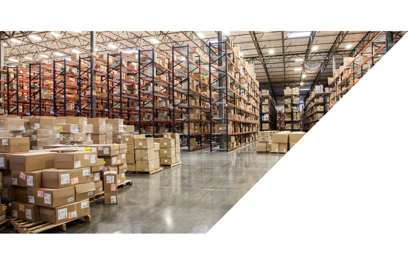 Wholesale Distribution Industry Software | SAP