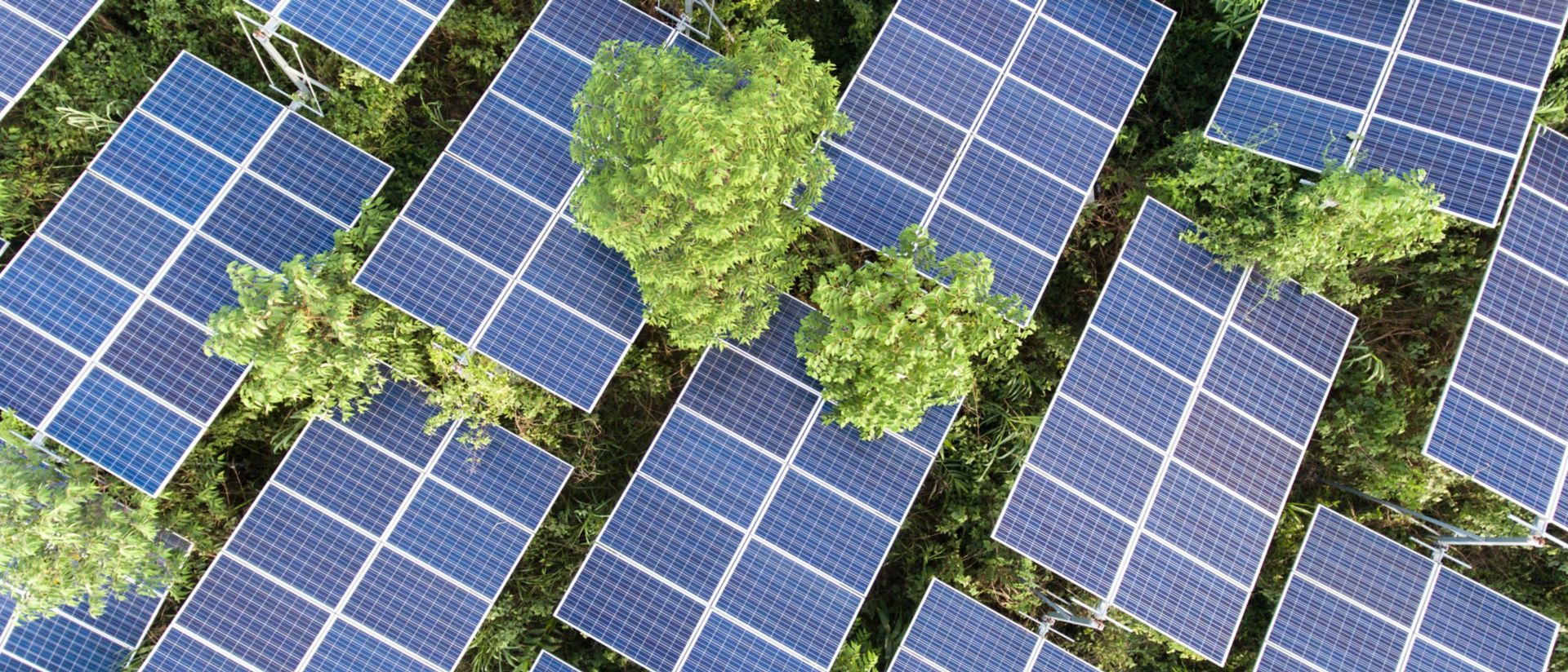 CSI Solar: Winning global competition with heightened quality control ...