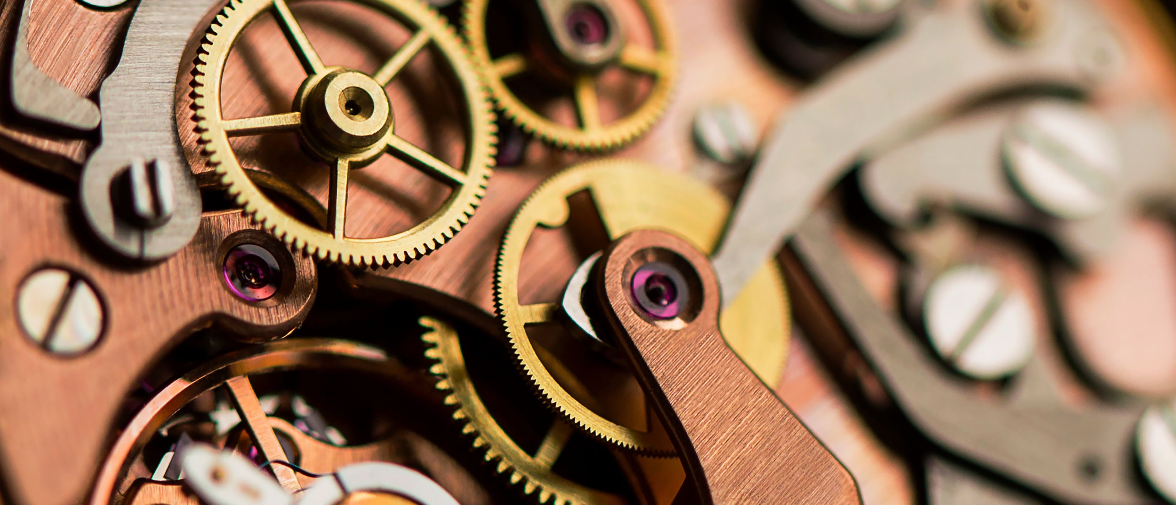 Elegant: Setting a shining example of using SAP Cloud ERP in Hong Kong