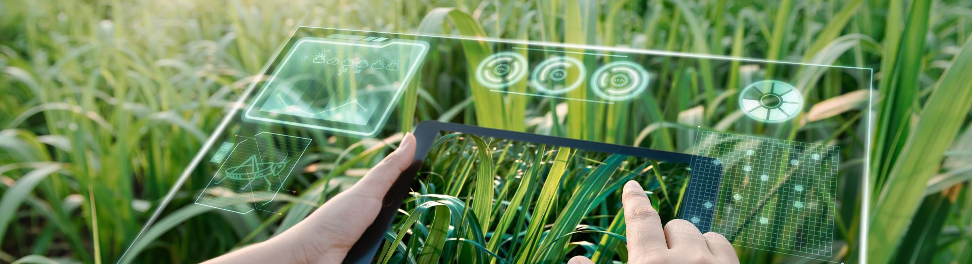 Environmental Performance | SAP Integrated Report 2023