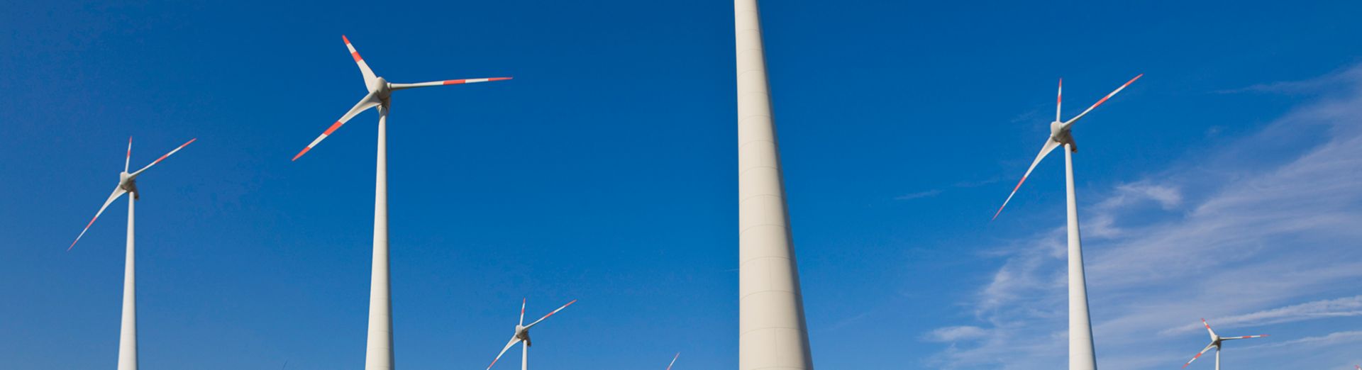 Accelerating the Transition to Clean Energy | SAP Insights